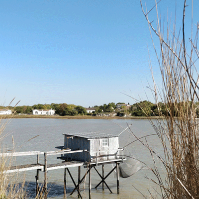 EXPLORING THE GIRONDE ESTUARY | Bordeaux Tours | Bordeaux Expats